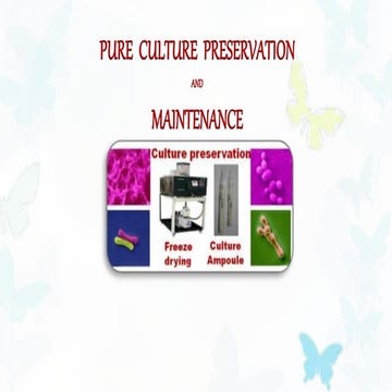 isolation and preservation of pure culture | PPTX