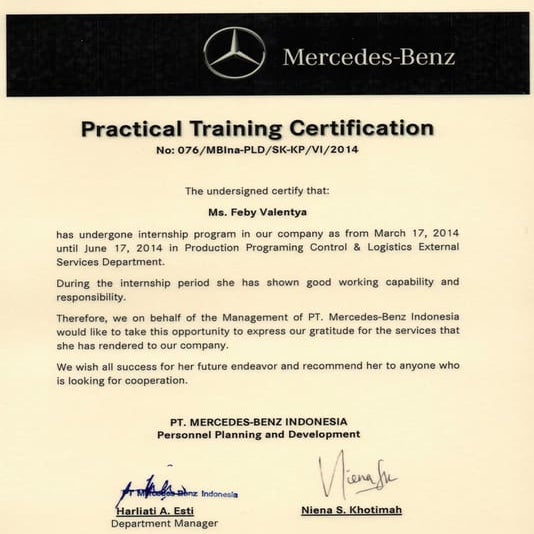 PRACTICAL TRAINING CERTIFICATION | PDF