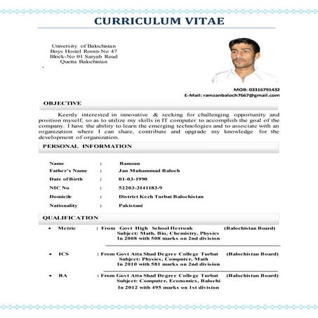 CV MCS | PDF