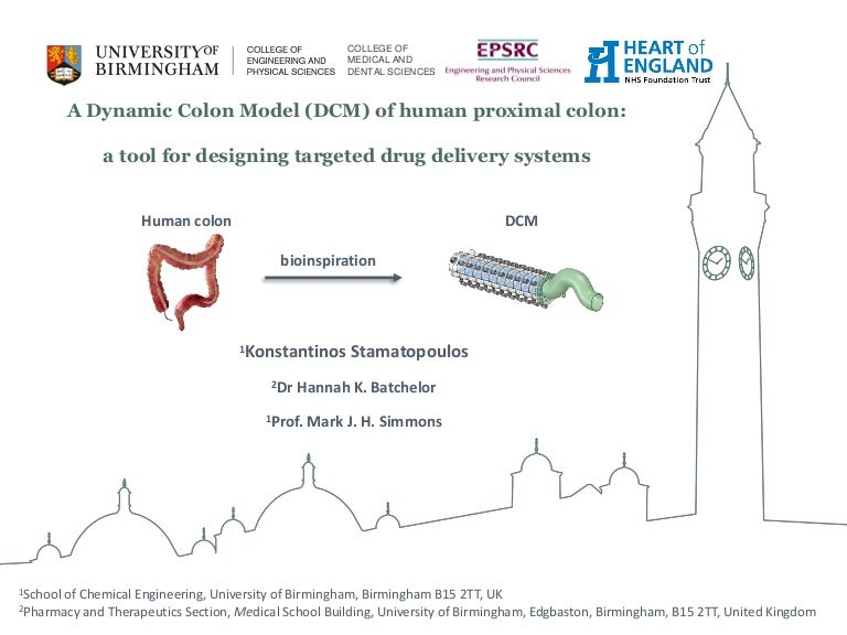 Dynamic Colon Model