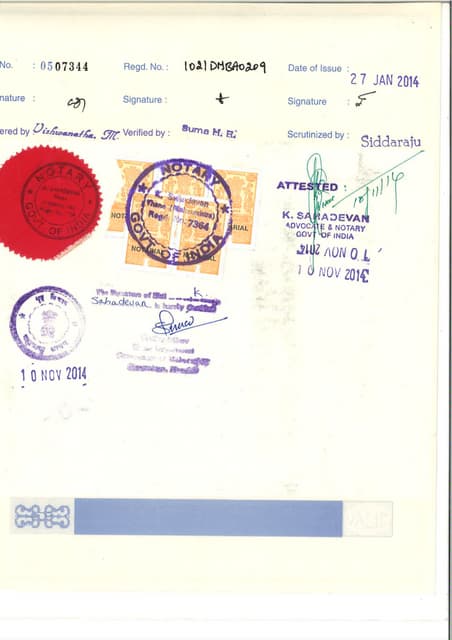 Masters Degree Front | PDF