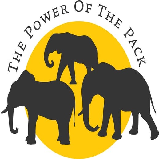 Power Pack Logo | PDF