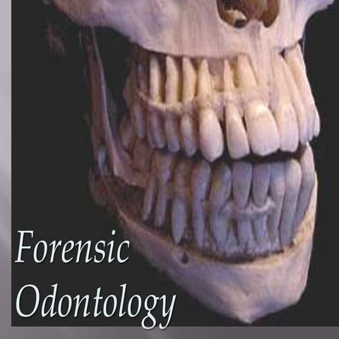 49075554 forensic-odontology-dr-rizwan | PPT