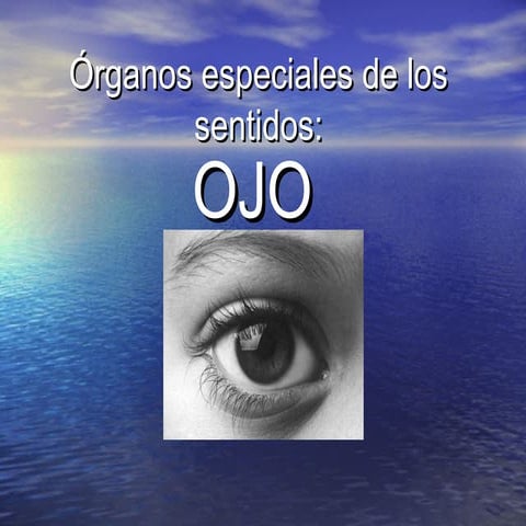 Formación del ojo | PPTX