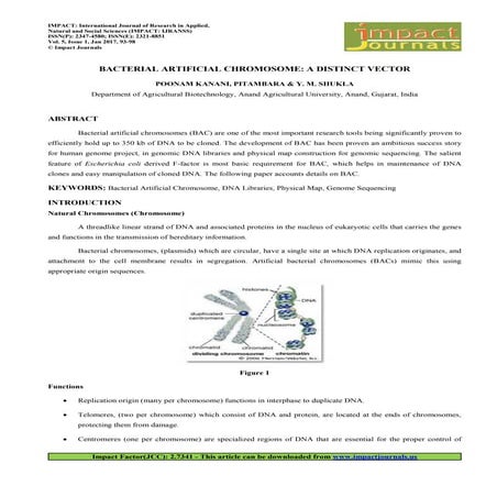 Lecture BAC YAC.pptx