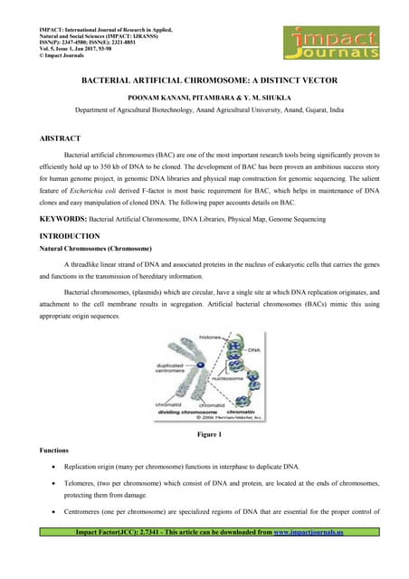 Mammalian artificial chromosome | PPTX | Genetics | Science