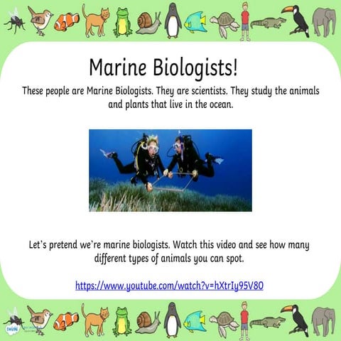 Animal types, diferent types of birds, fishes and earth animals | PPT