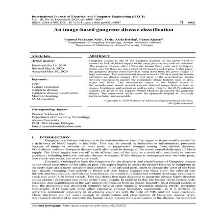 An image-based gangrene disease classification | PDF