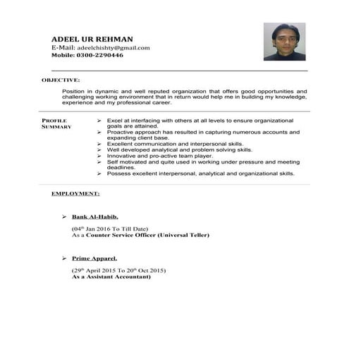 Adeel CV | DOC