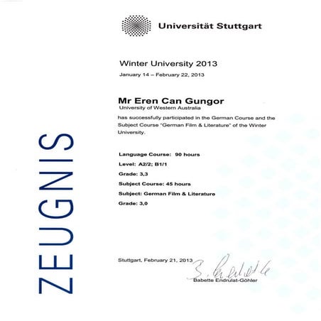 German Level Certificate | PDF
