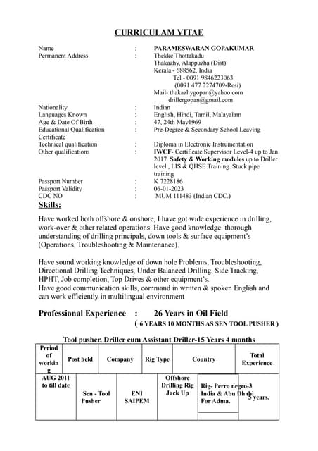 Pratap's new CV 2015 new | PDF