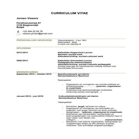 Curriculum Vitae 2016 | PDF