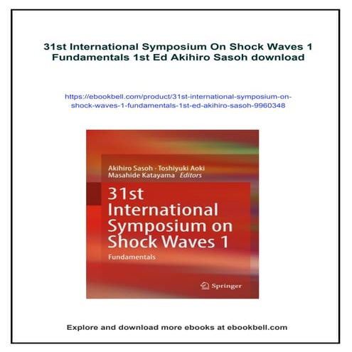 31st International Symposium On Shock Waves 1 Fundamentals 1st Ed ...