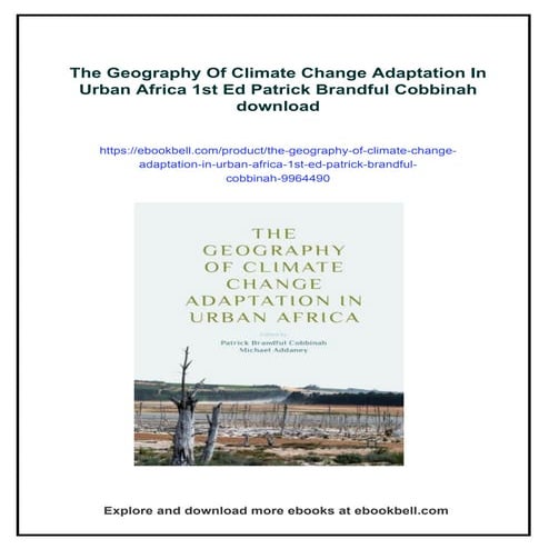 The Geography Of Climate Change Adaptation In Urban Africa 1st Ed ...