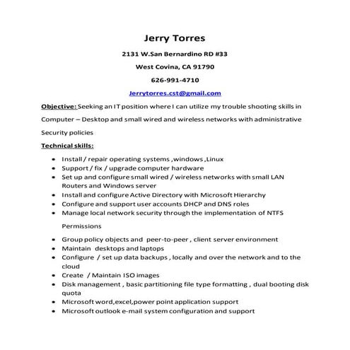 Jerry Torres reume | DOCX | IT and Internet Support | Internet