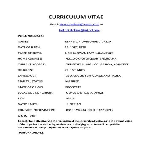 MY C V | PDF