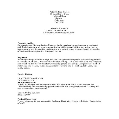 CV Peter De Klerk | DOCX