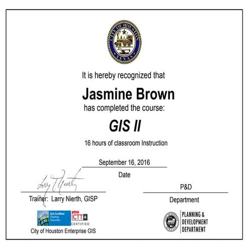 GIS II Completion Certificate | PDF