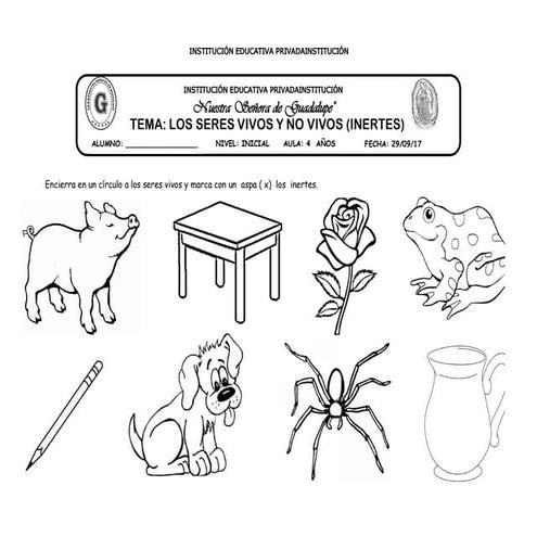 49 tema objetos vivos y no vivos | PDF
