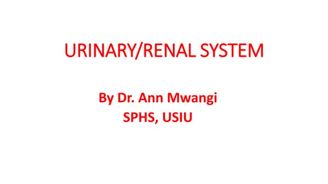 Anatomy and Physiology: Chapter 18- Urinary-System.pptx