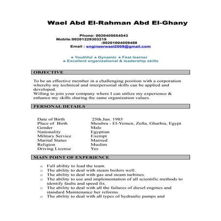 Wael cv ubdate | PDF