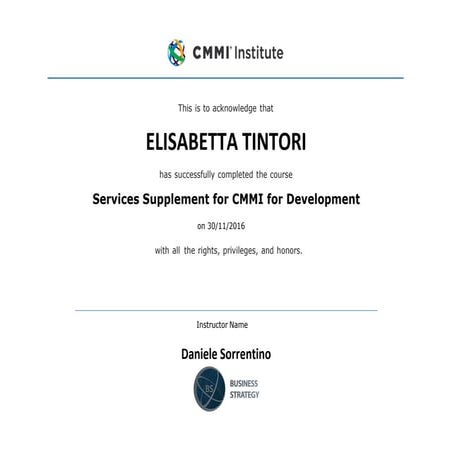 E. Tintori_CMMI-SVC Supplement | PDF