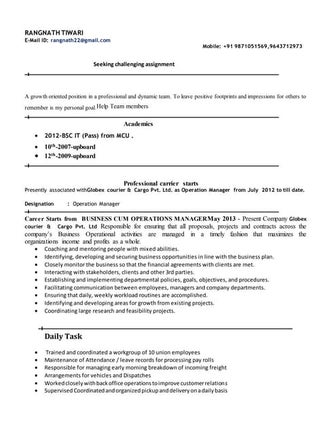 AIA JOB DESCRIPTION | PDF