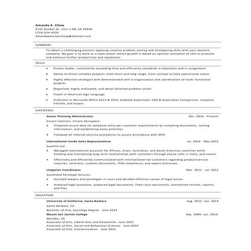 Professional Resume | DOCX