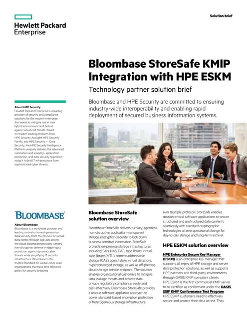 BLBS-Bloombase-StoreSafe-Sales-Cheat-Sheet-FY25Q1-USLET-EN-R12.pdf ...