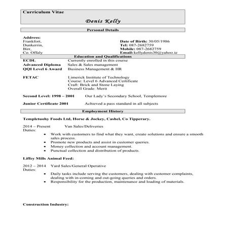 Curriculum Vitae denis | PDF