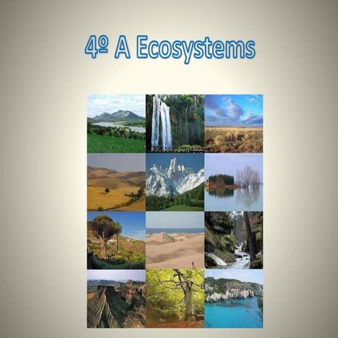 4ºa ecosystems | PPTX