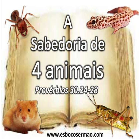 4 animais sábios | PPSX | Books and Literature