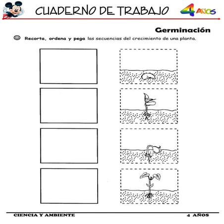 Hojas De Trabajo De Ciencia Para Niños En Edad Preescolar