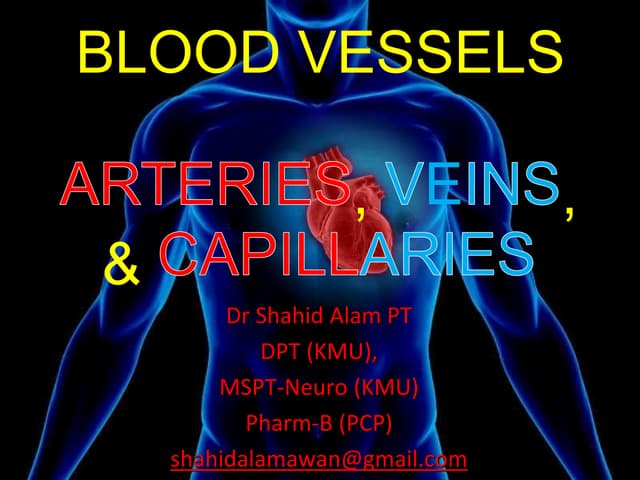 Blood vessels: Arteries, Veins and Capillaries | PPTX
