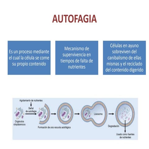 Codones inicion y terminacion | PPTX