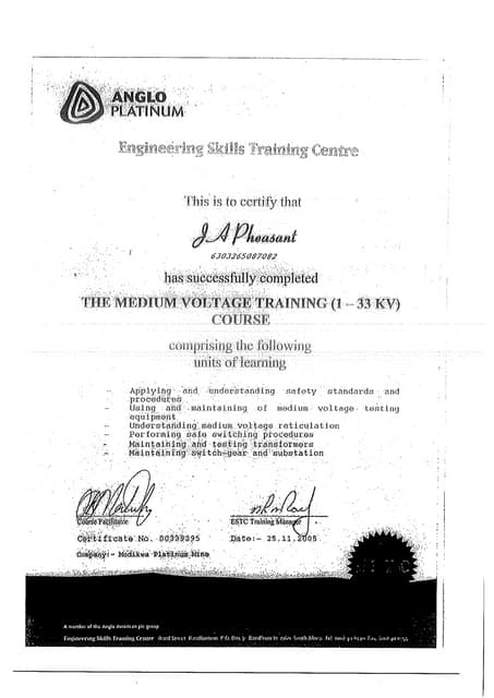 Level 2 Safety | PDF