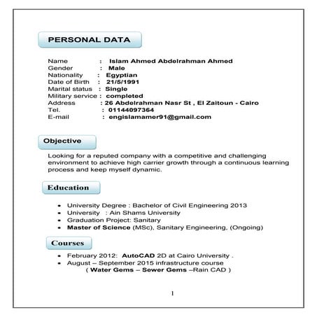 Islam Ahmed CV | PDF