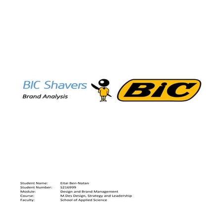 BIC_Brand Analysis | PDF