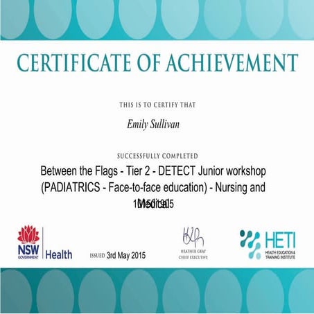 BETWEEN THE FLAGS | PPT