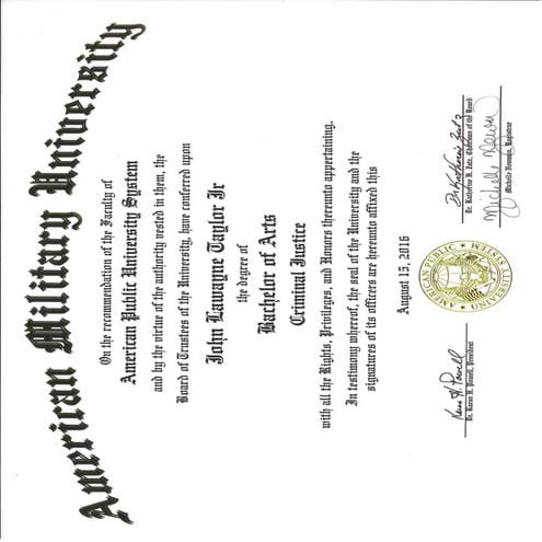 Bachelors Degree in Color | PDF