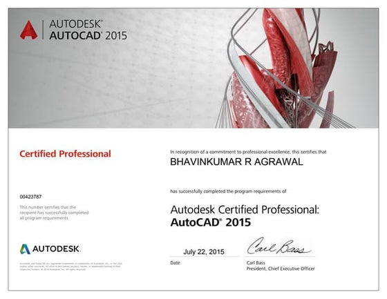 Autocad_Certificate | PDF