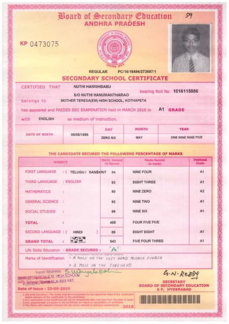 CA INTER PASS CERTIFICATE | PDF