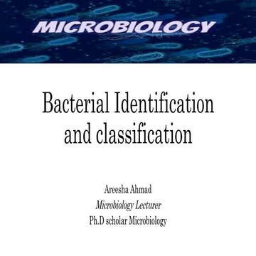 DPT - Bacterial Identification and Classifications | PPT
