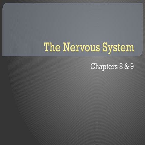 4 Basic Anatomy and Physiology - ch 8-9 - nervous system (1).pptx
