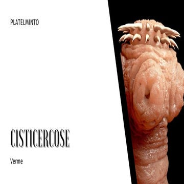 cisticercose | DOCX