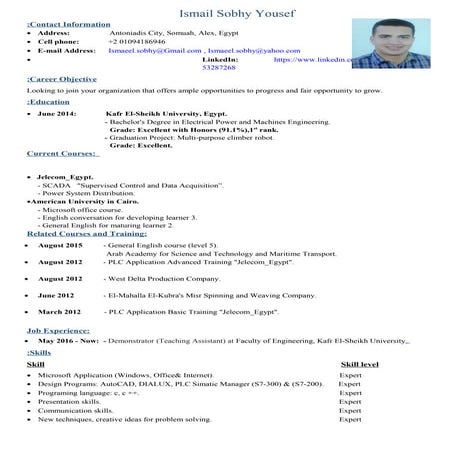 Ismail's CV | PDF