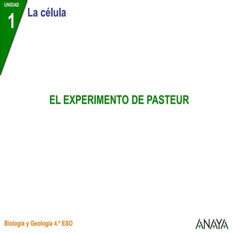 EL EXPERIMENTO DE PASTEUR ES (1861).pptx