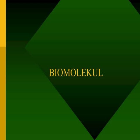 BIOMOLEKUL dalam ilmu biologi strata S1.pptx