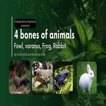 4 bones of animals ca kc.pdfff university | PDF