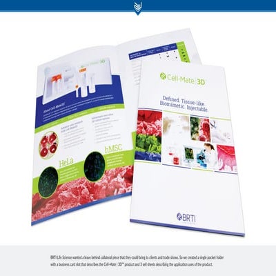 BRTI Brochure | PDF | Technology & Computing